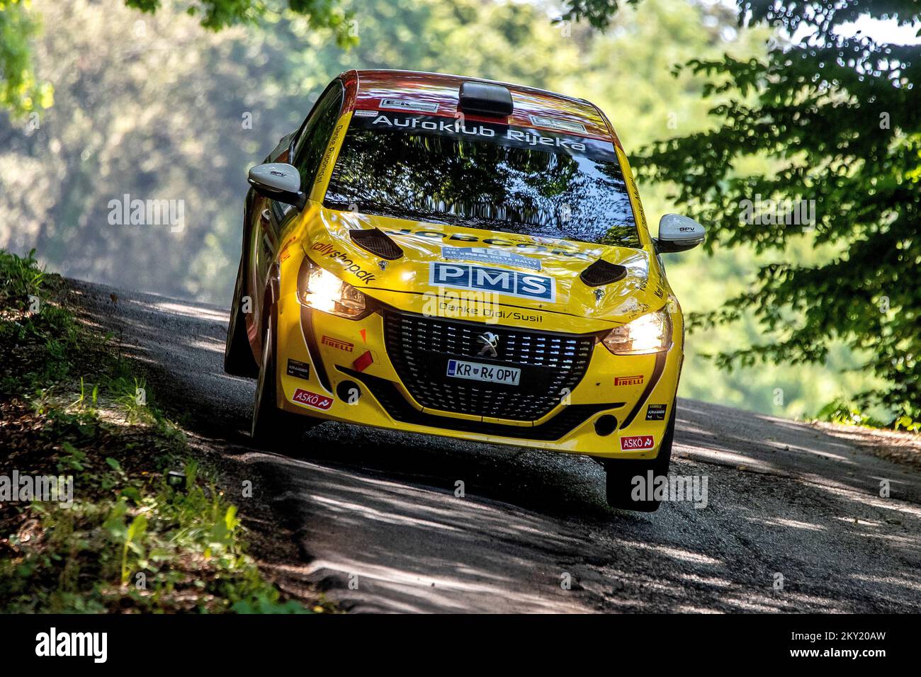 Jeannette Kvic and Alfred Kramer Jun of Denmark in Peugeot 208 Rally4 ...