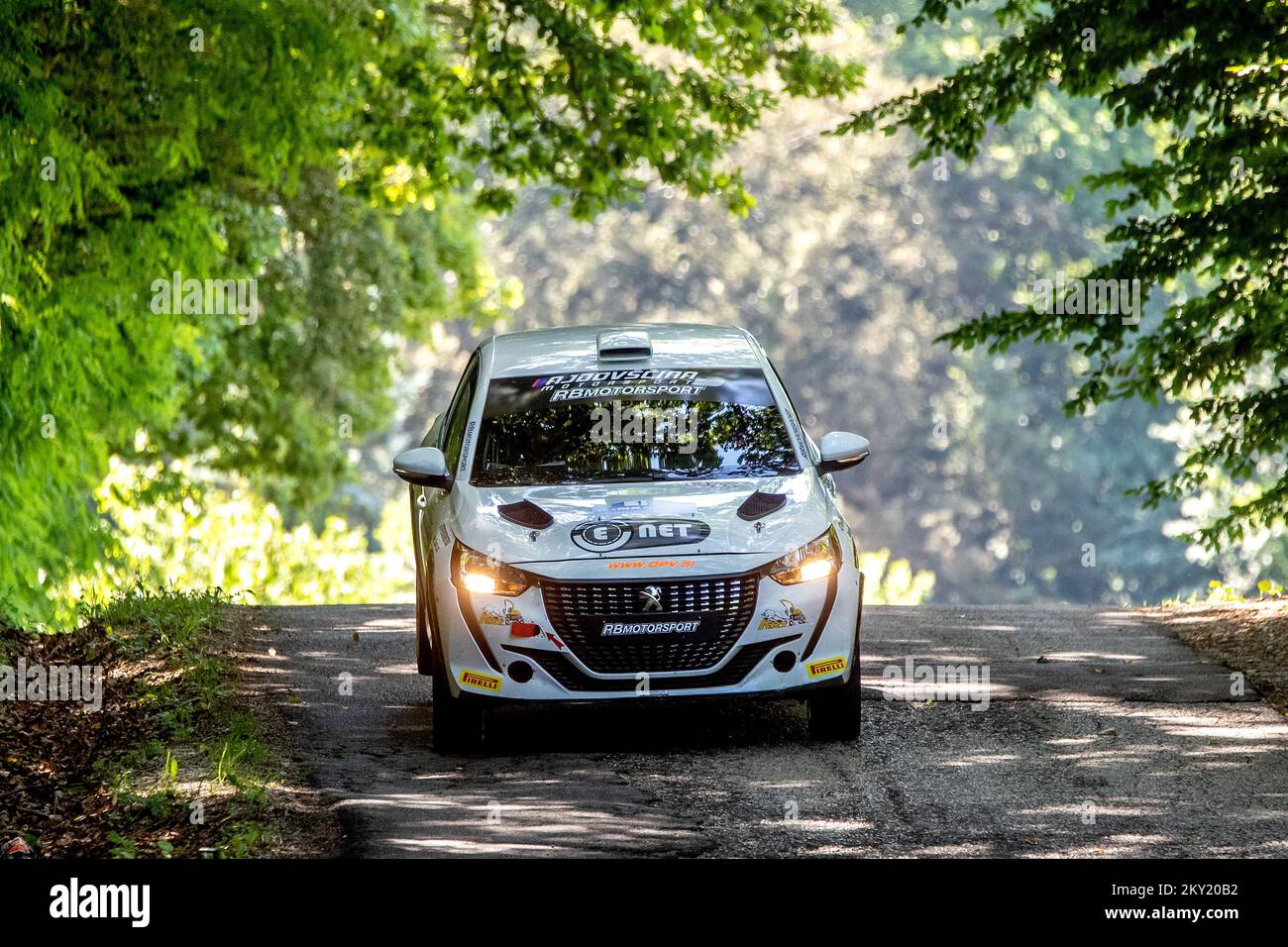 Marko Grossi and Tara Bertol of Slovenia in Peugeot 208 Rally4 during ...