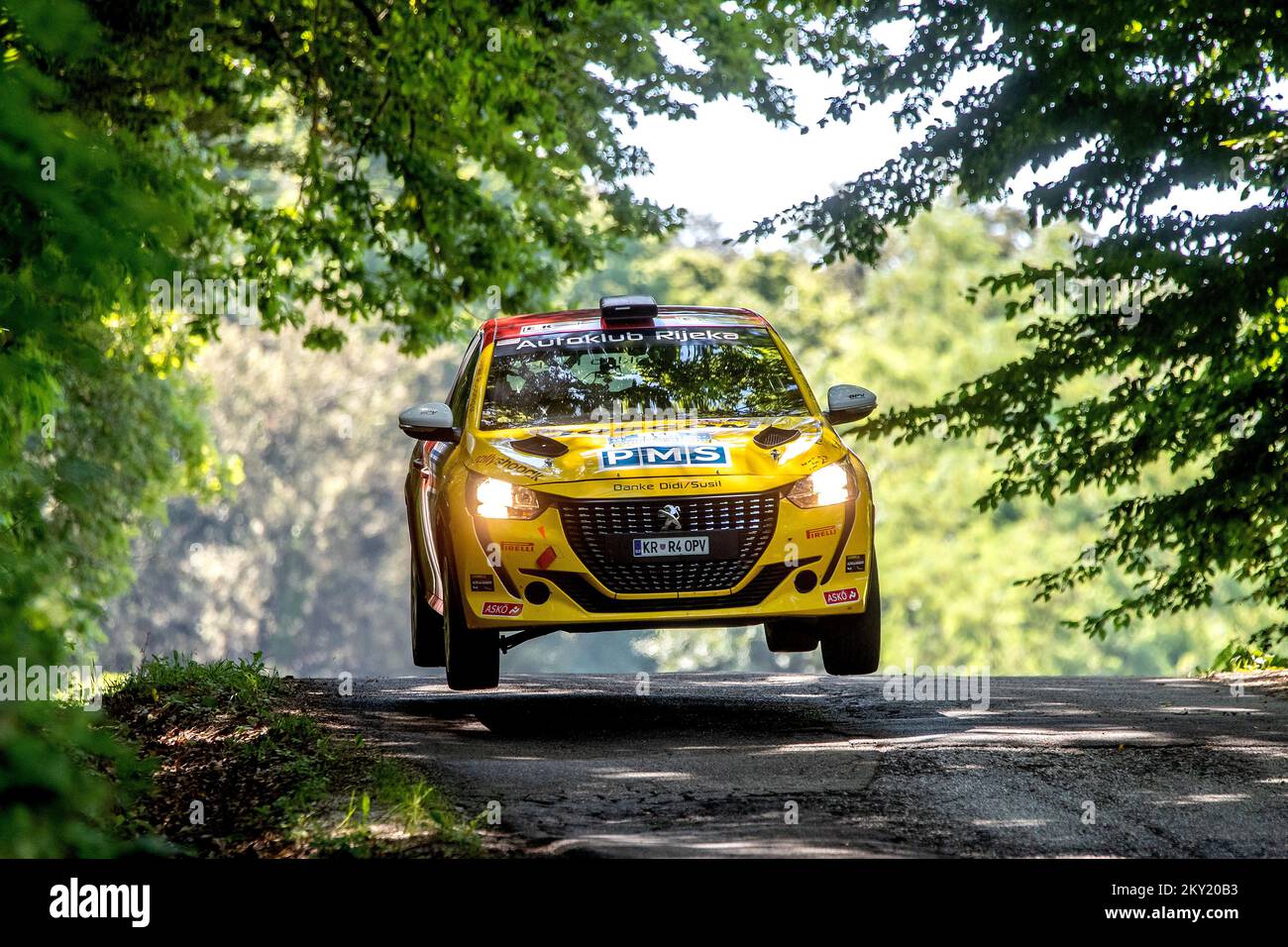 Jeannette Kvic and Alfred Kramer Jun of Denmark in Peugeot 208 Rally4 ...