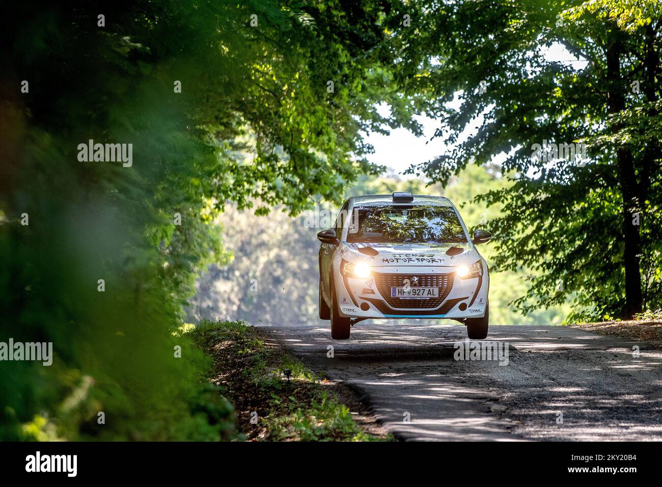 Simon Wagner and Pia Sumer of Austria in Peugeot 208 Rally4 during the ...