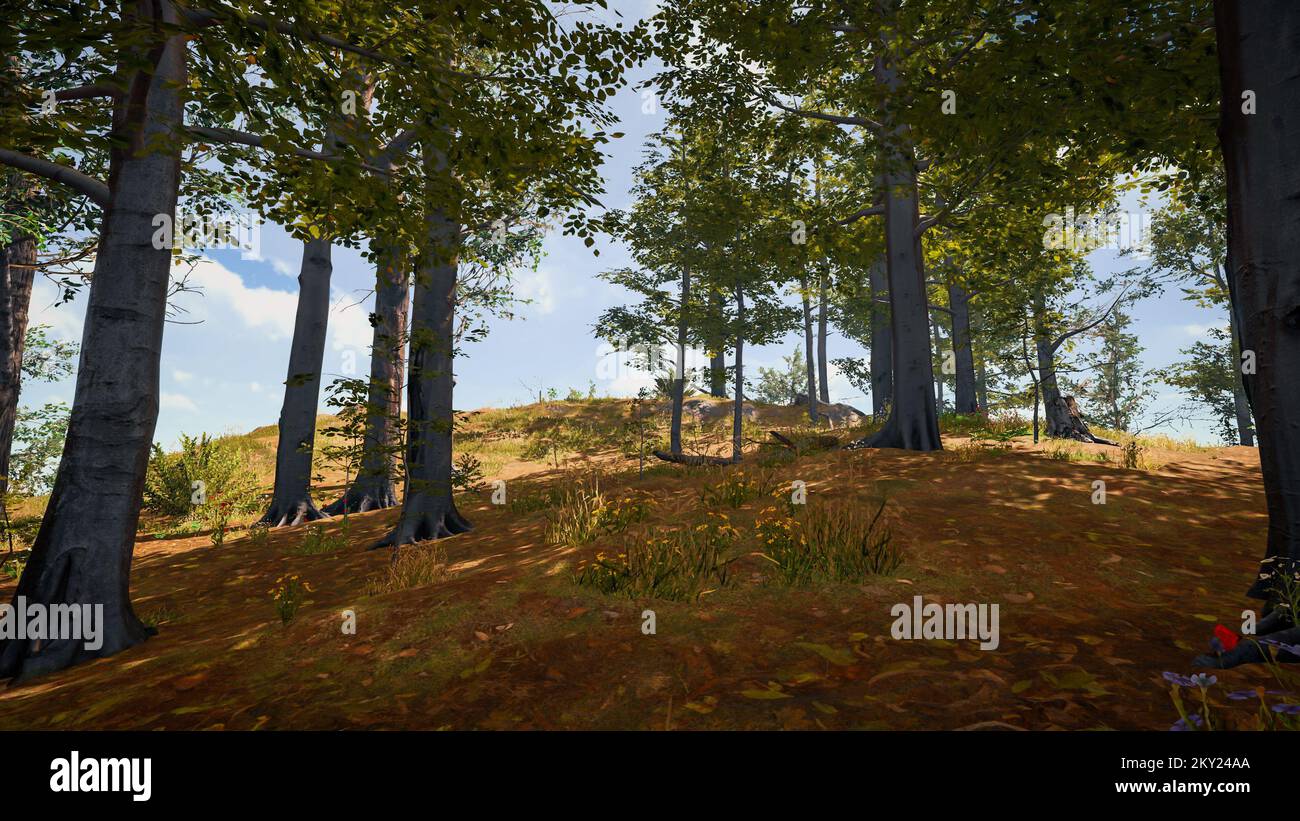 3D rendering. An immersive natural environment. Landscape to illustrate ...