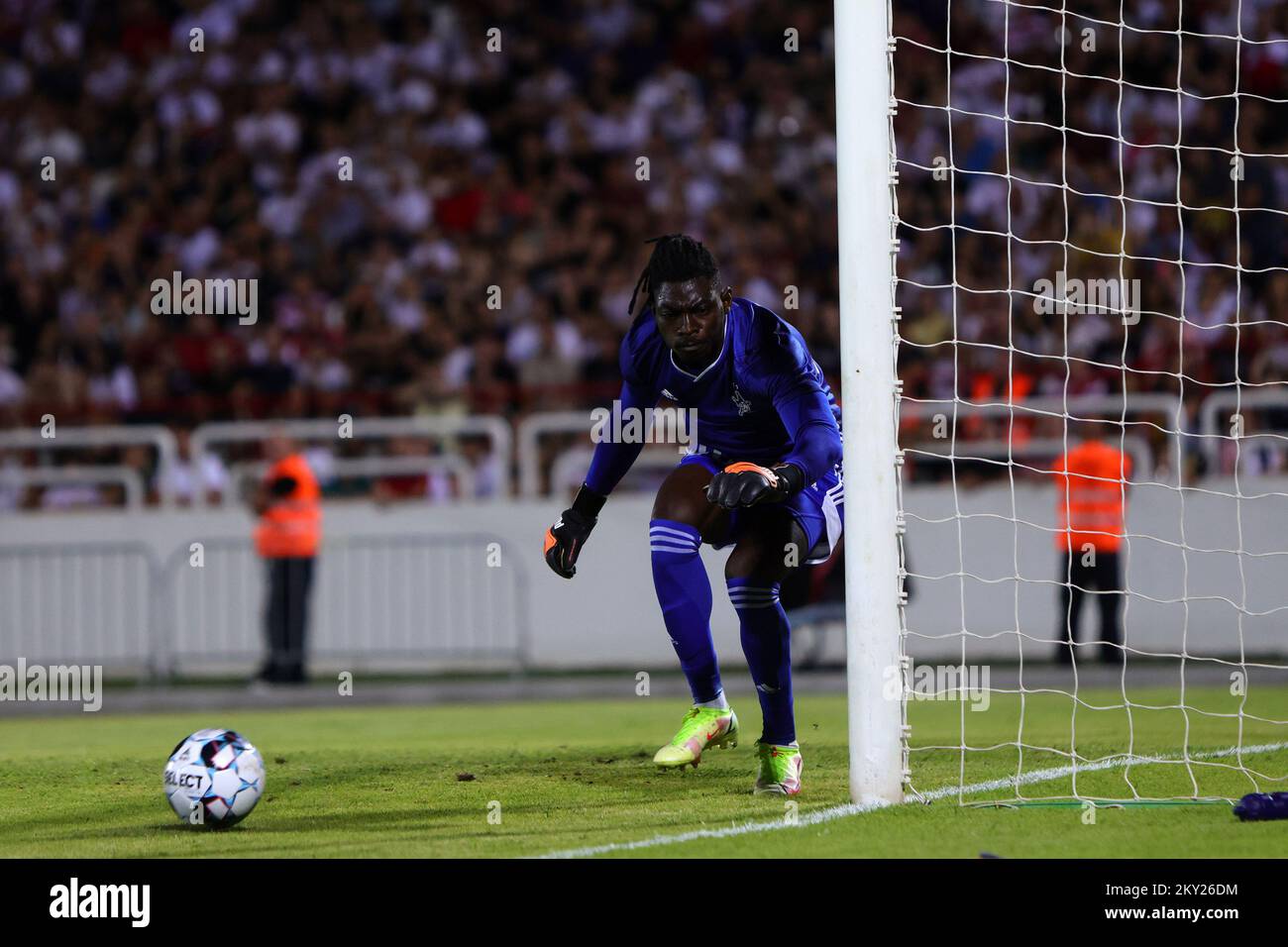 Abalora hi-res stock photography and images - Alamy