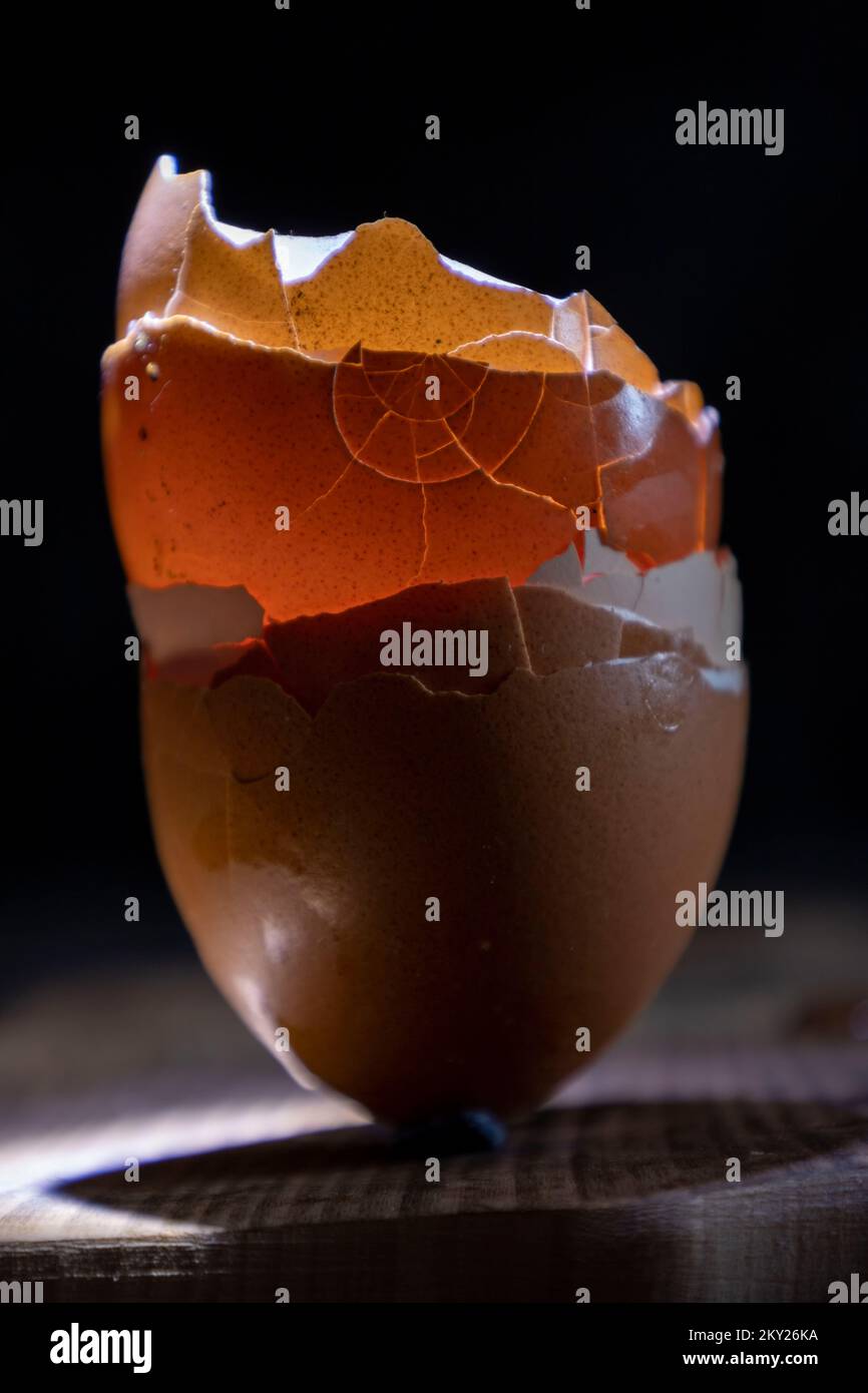 A broken shell from a chicken egg. organic waste Stock Photo - Alamy