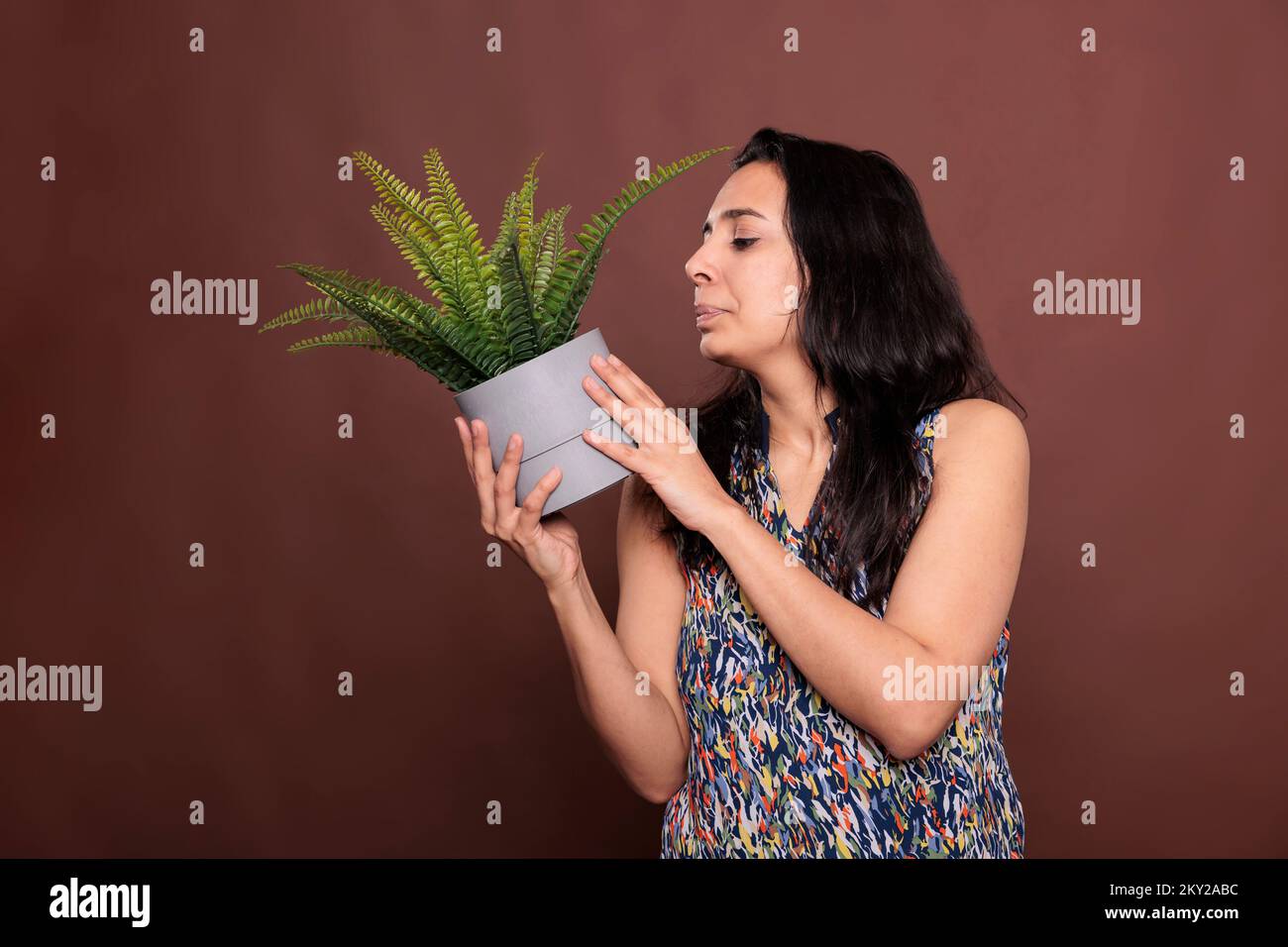 Indian home houseplants hi-res stock photography and images - Alamy
