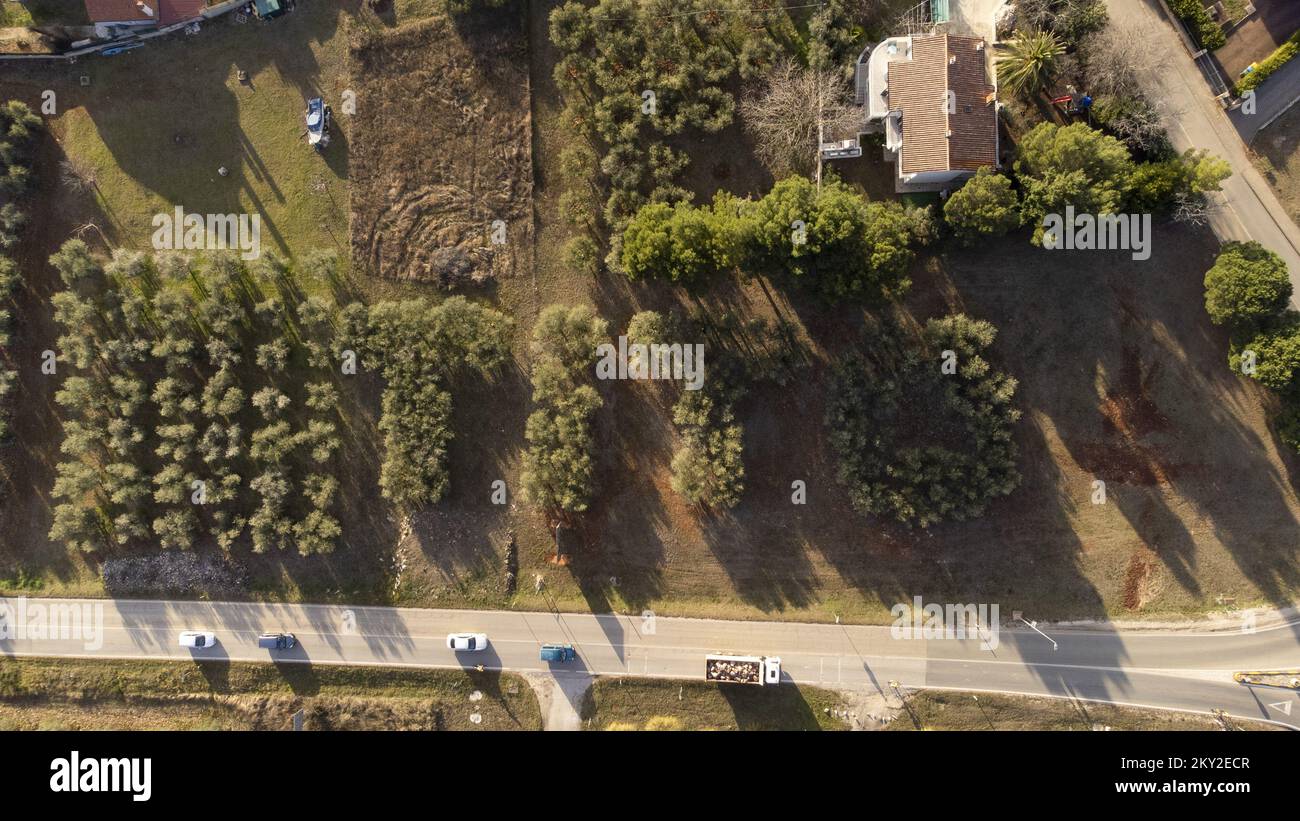 Aerial view of an olive grove where 88 trees are planted to form the ...