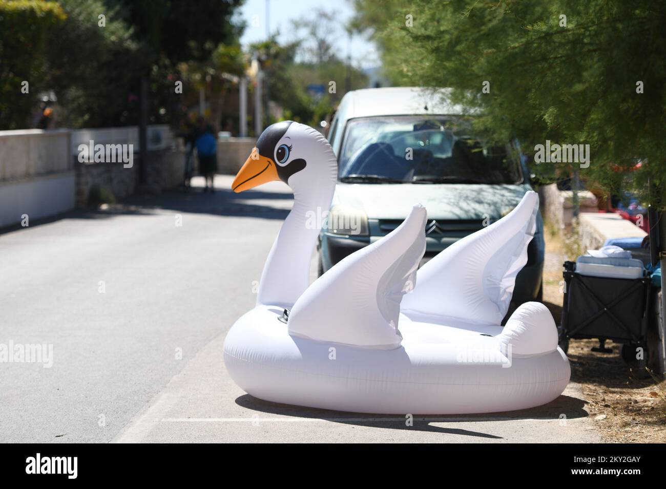 A giant inflatable swan is seen at parking site near beach during a ...