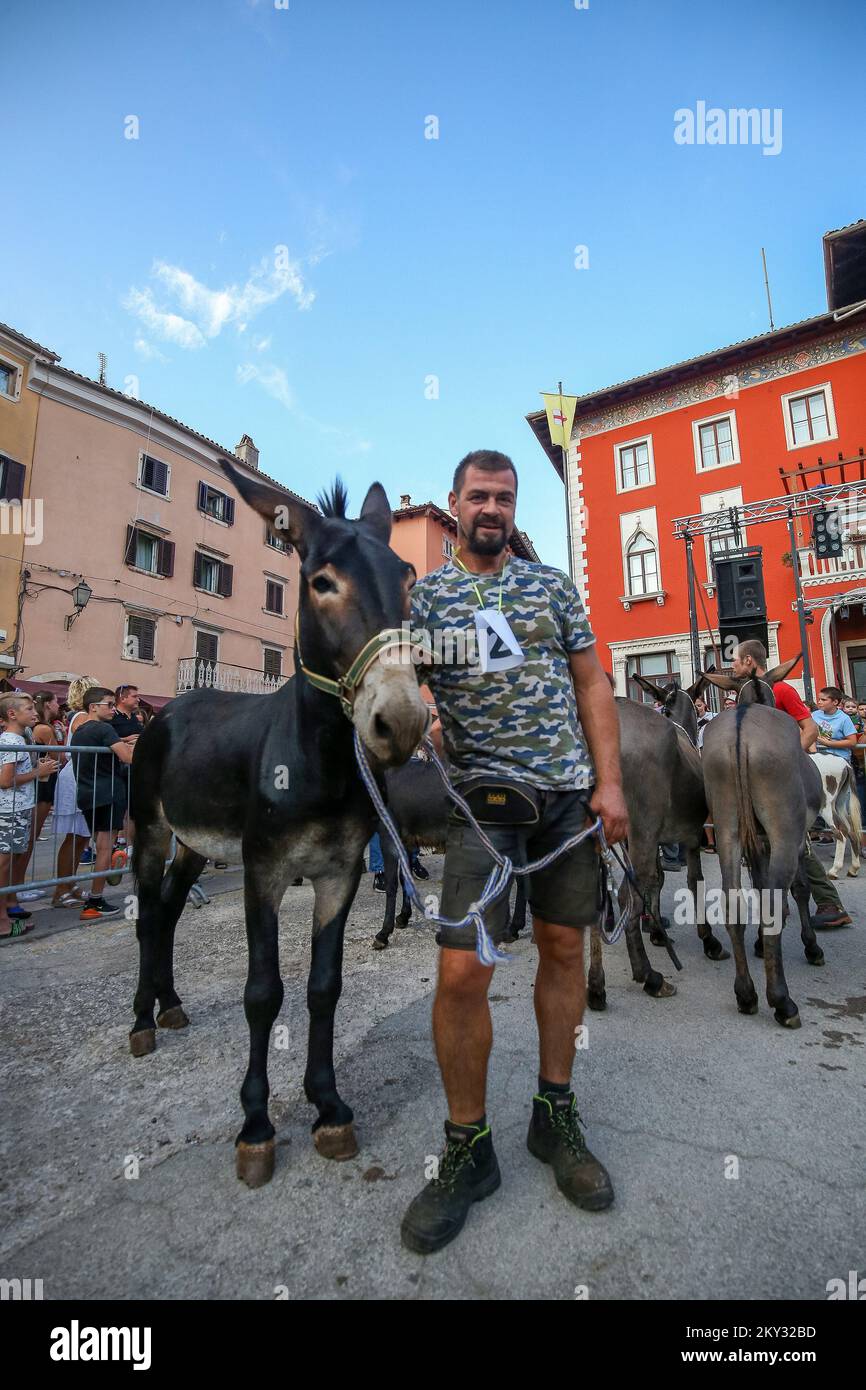 54 bumblebee festival hi-res stock photography and images - Alamy