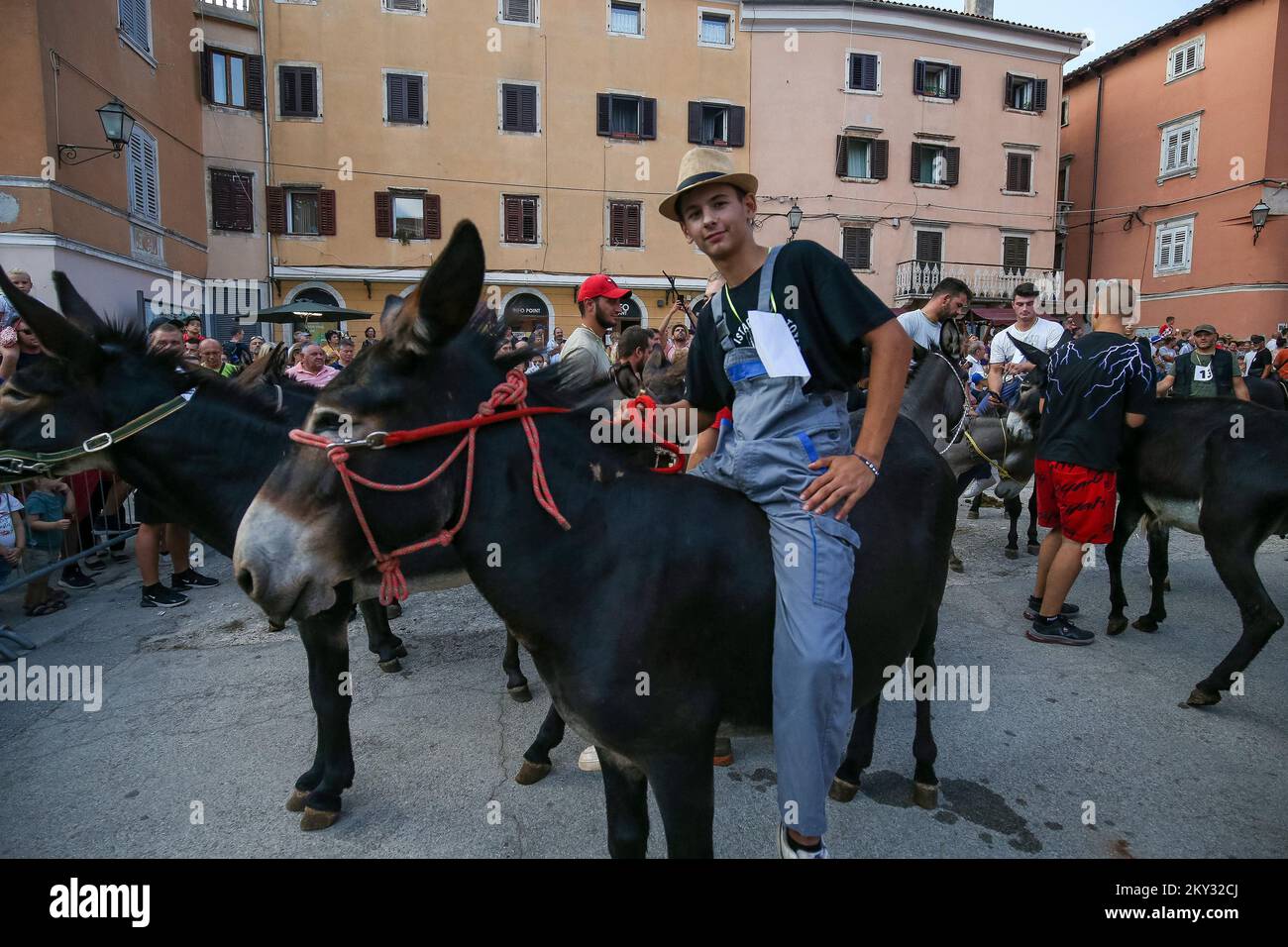 A rider rides a donkey during the famous Donkey Race of 54. Bumblebee ...