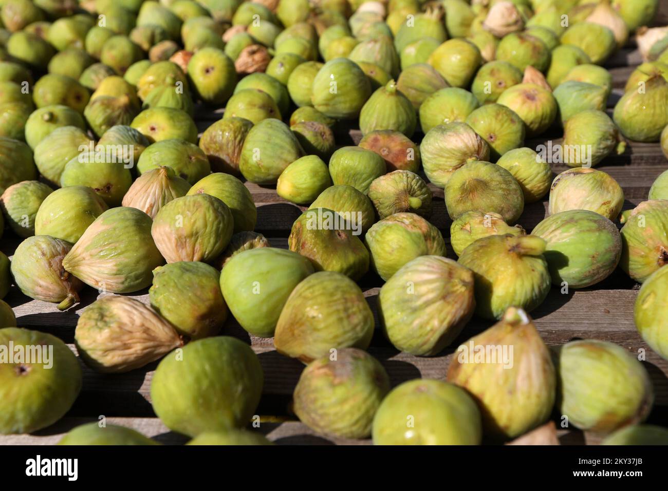 The traditional way of drying figs can be seen in the picture in ...