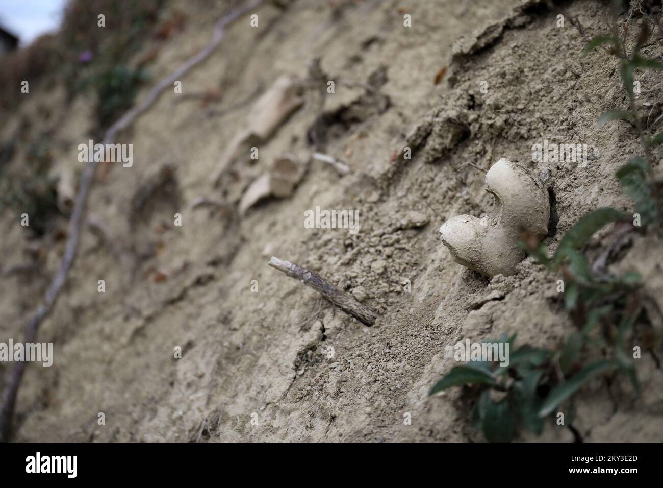 Human bones sticking out of the freshly dug earth along the road, right ...