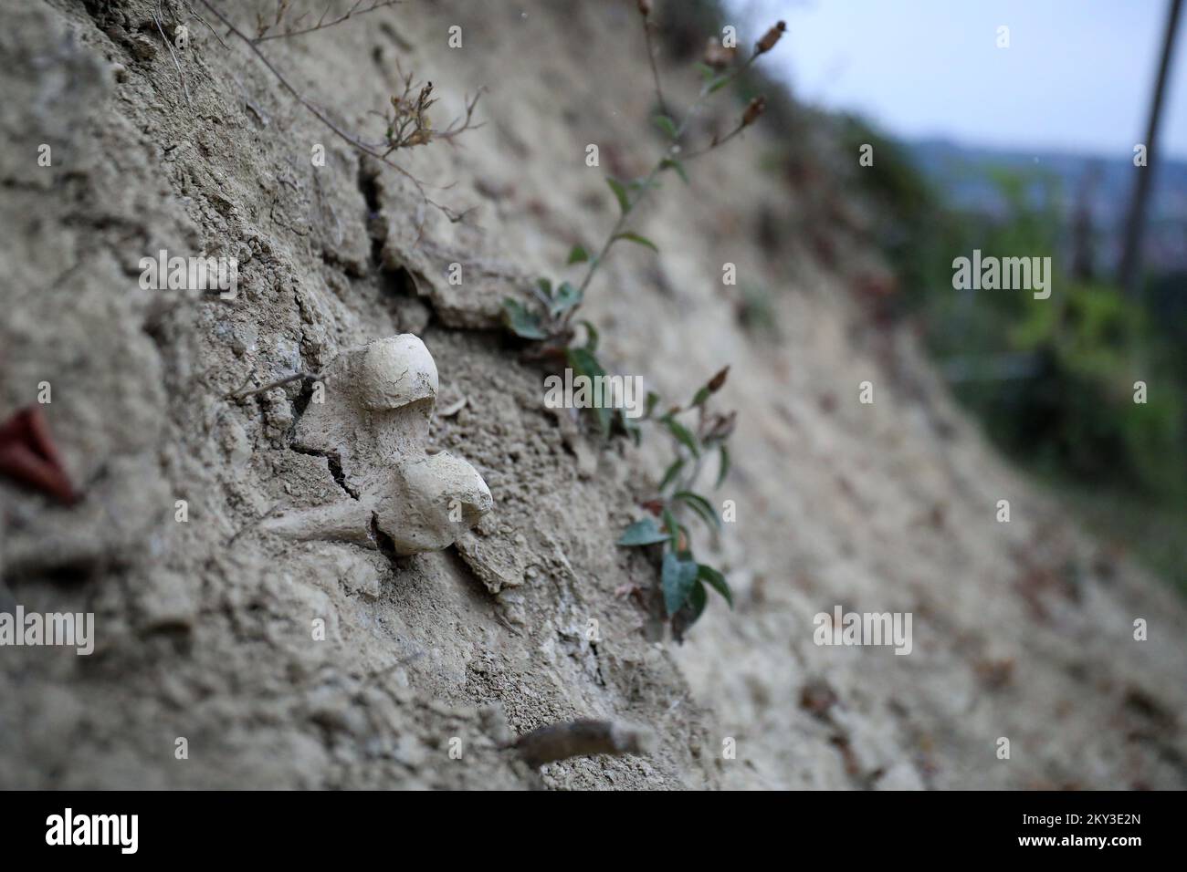 Human bones sticking out of the freshly dug earth along the road, right ...