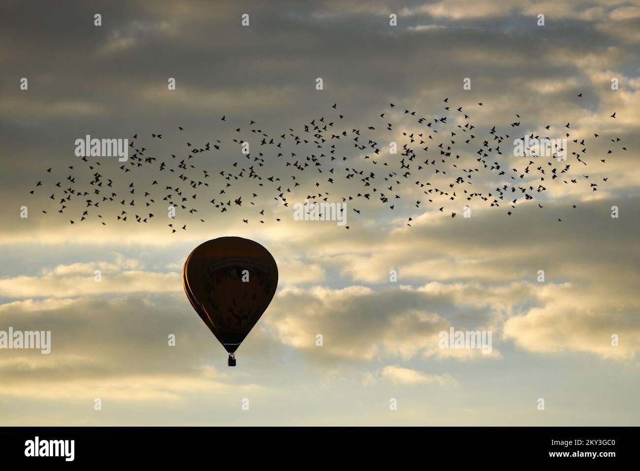 Hot air balloon flies during Hot Air Balloon Festival in Prelog ...