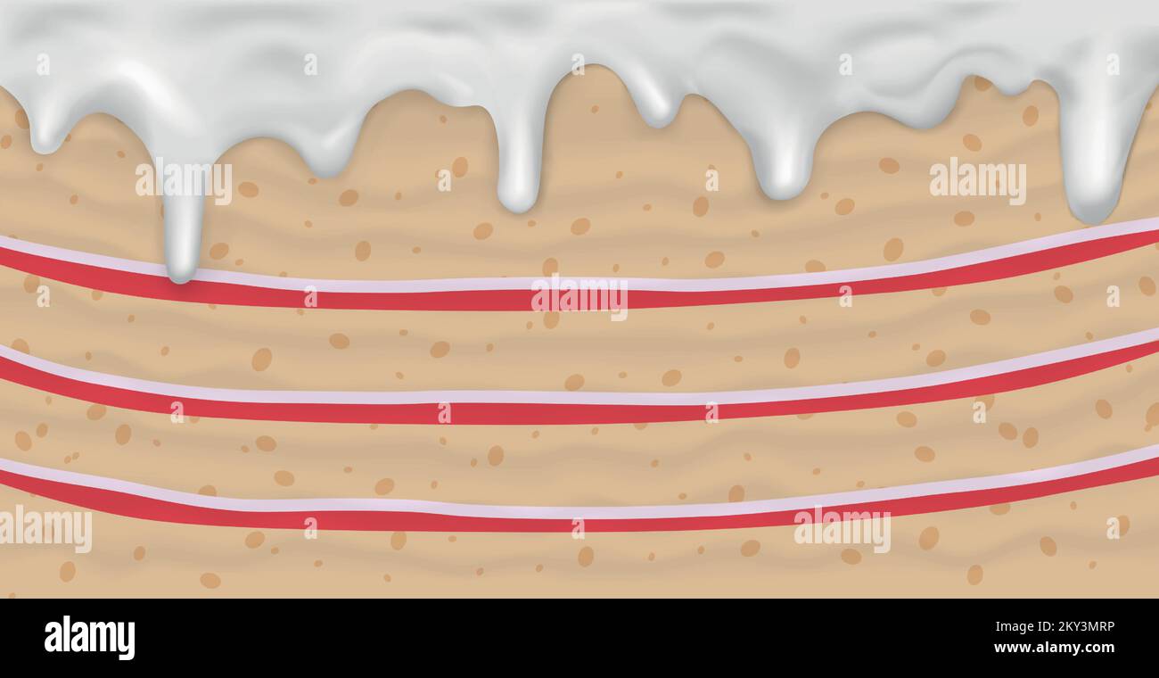 Panoramic background layer cake, food texture - Vector illustration ...
