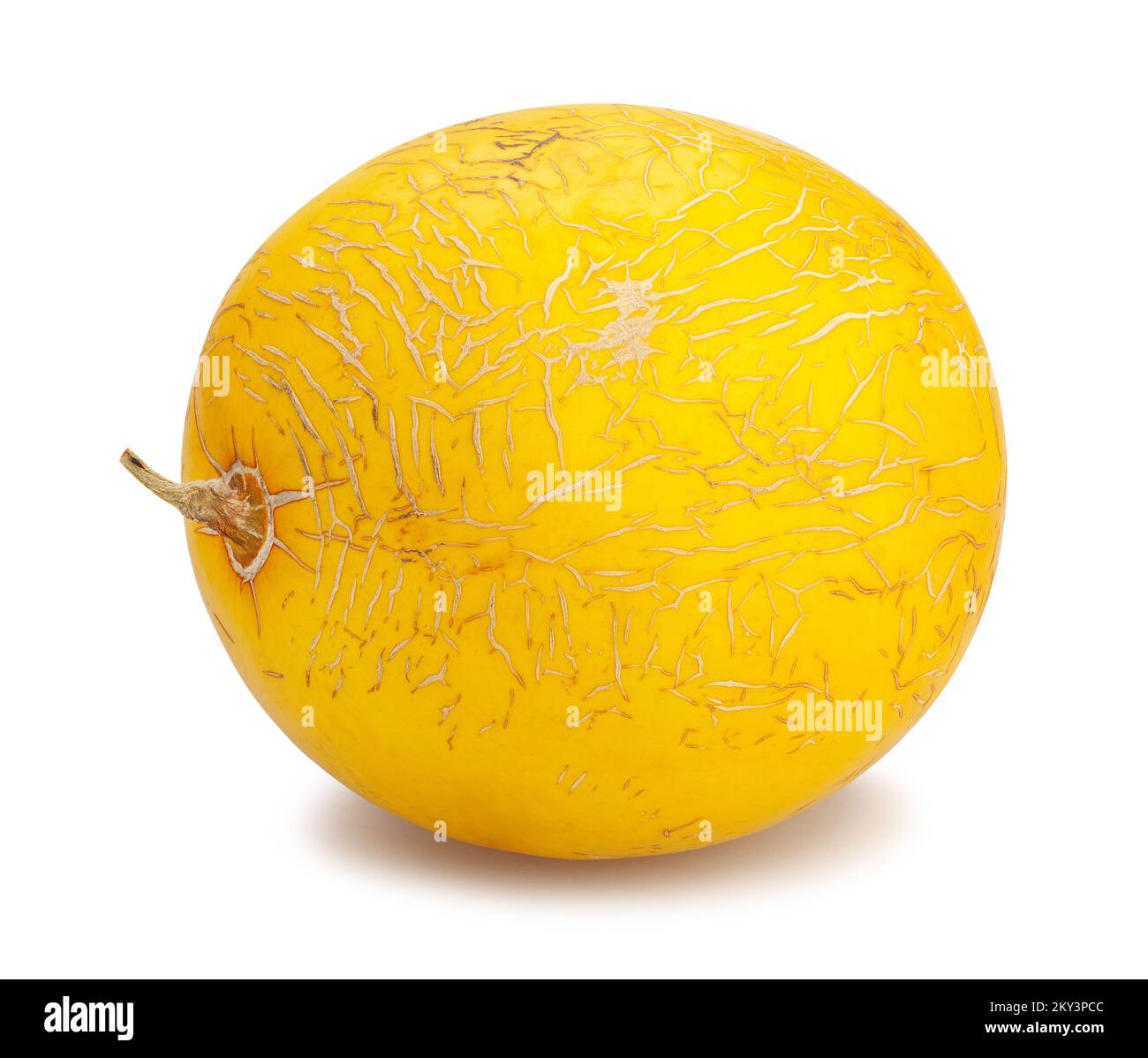 White melon hi-res stock photography and images - Alamy