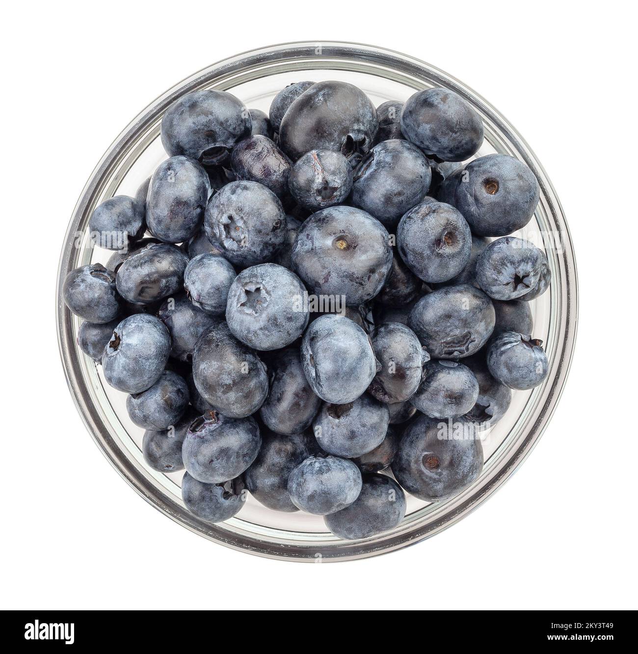 Blueberry top Cut Out Stock Images & Pictures - Alamy