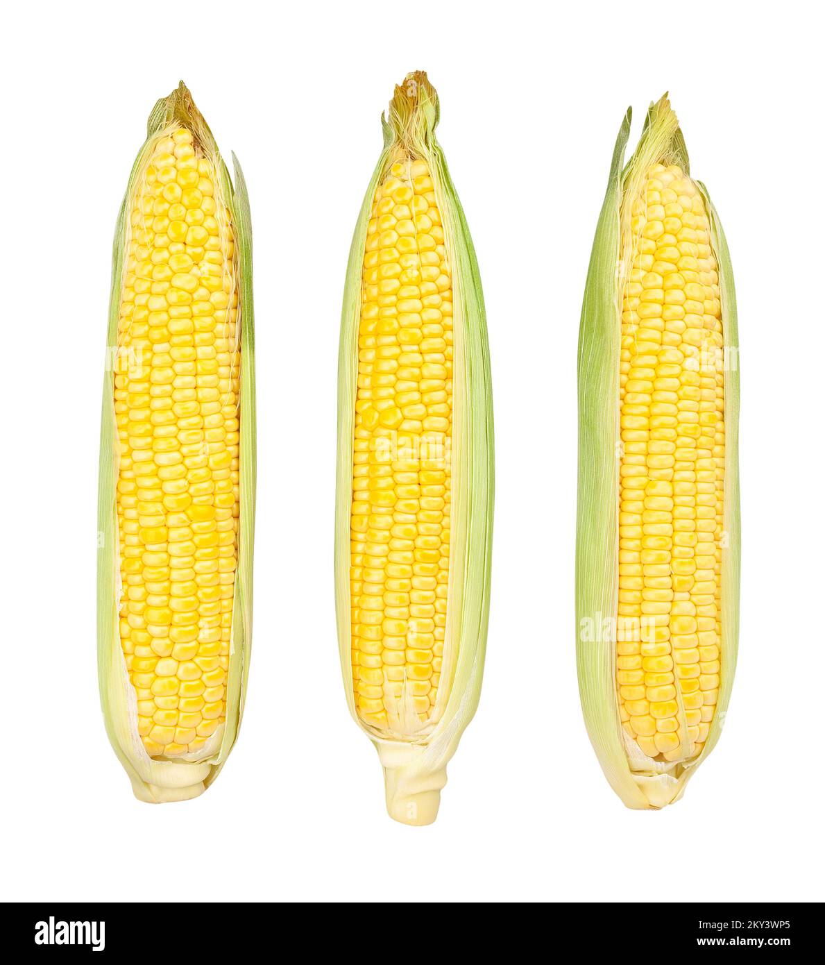 corn path isolated on white Stock Photo - Alamy