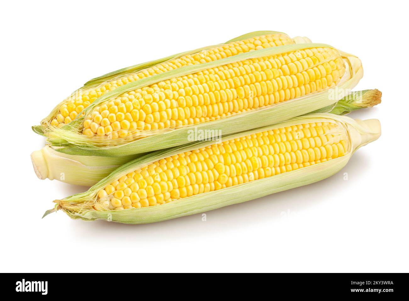corn path isolated on white Stock Photo - Alamy