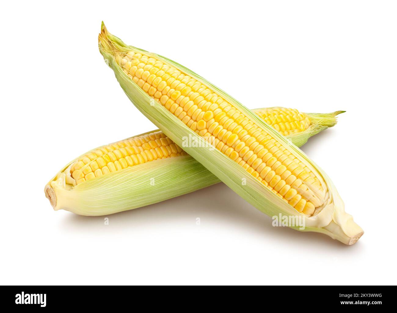 corn path isolated on white Stock Photo - Alamy