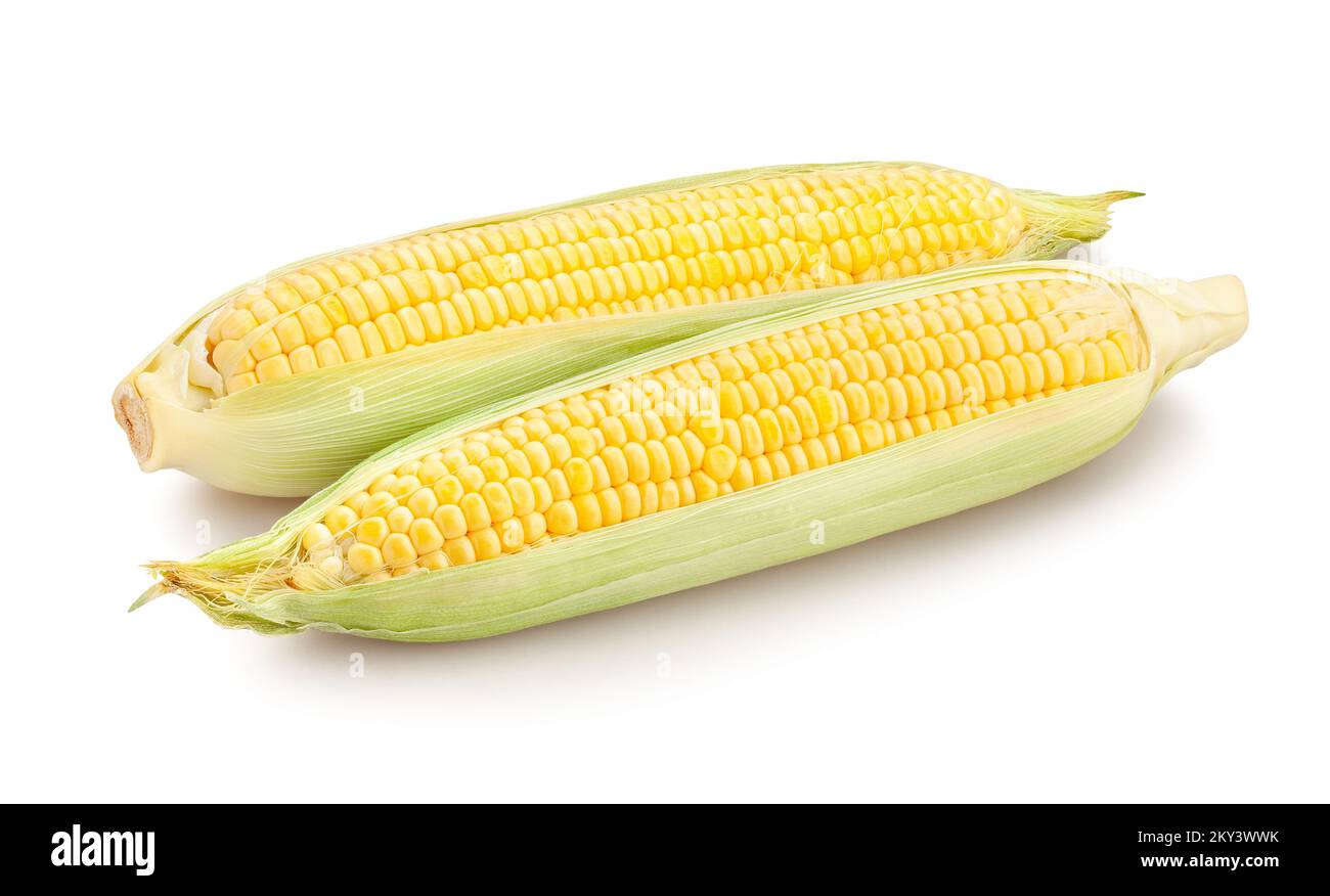 corn path isolated on white Stock Photo - Alamy