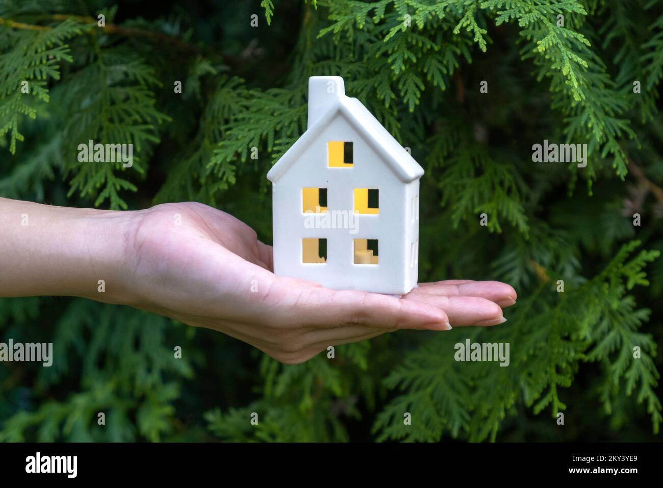 Eco friendly house. house on hand Stock Photo - Alamy