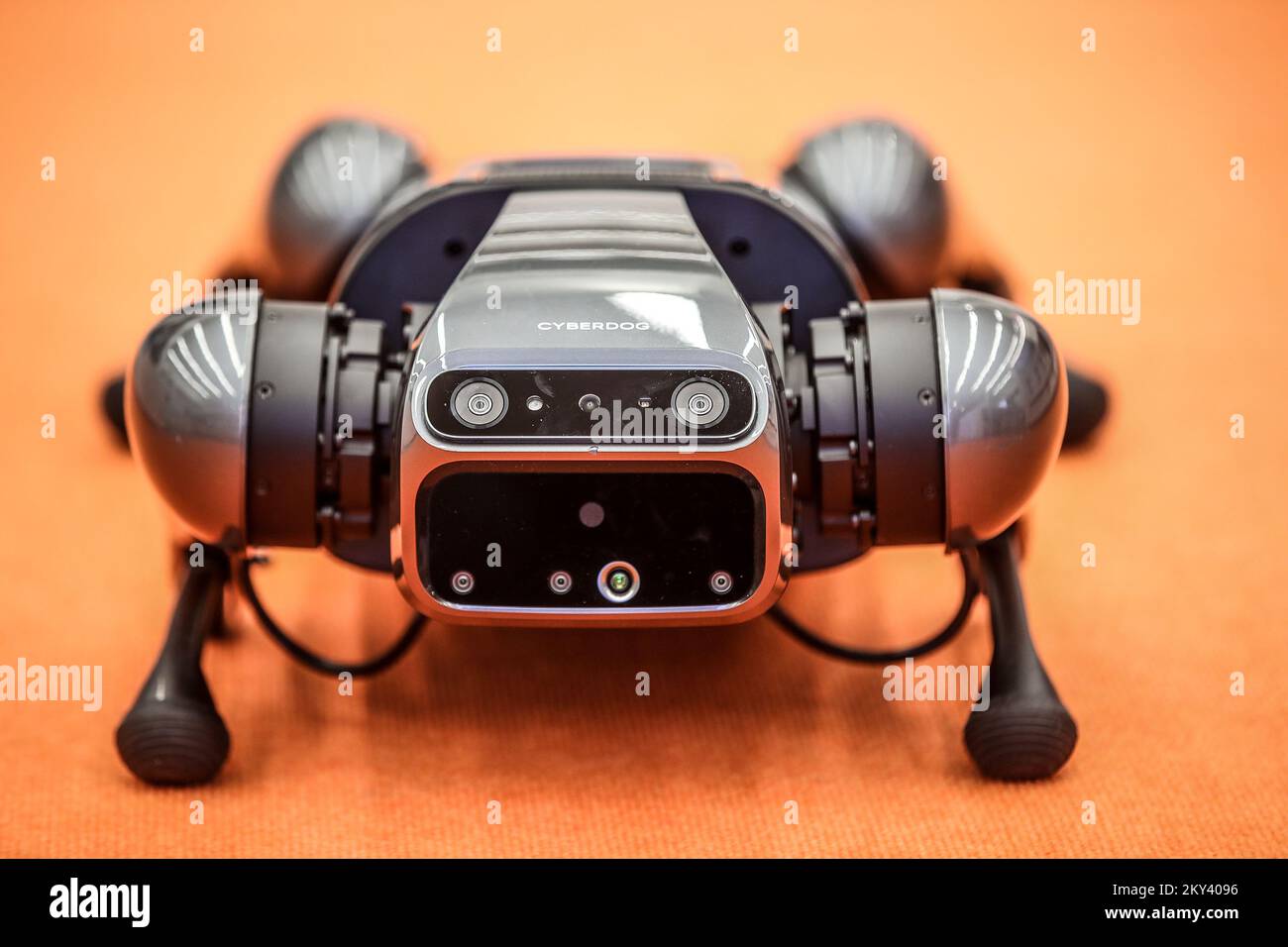 Xiaomi presented the CyberDog robot and a line of products for pets in ...