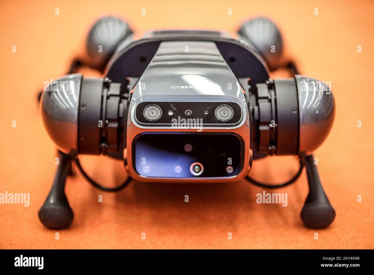 Xiaomi cyberdog hi-res stock photography and images - Alamy