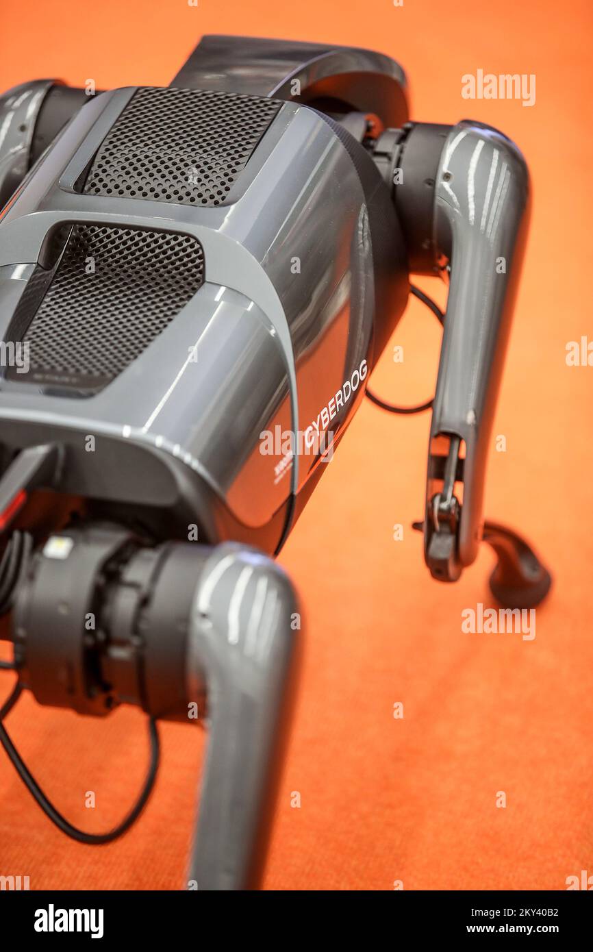 Xiaomi presented the CyberDog robot and a line of products for pets in ...
