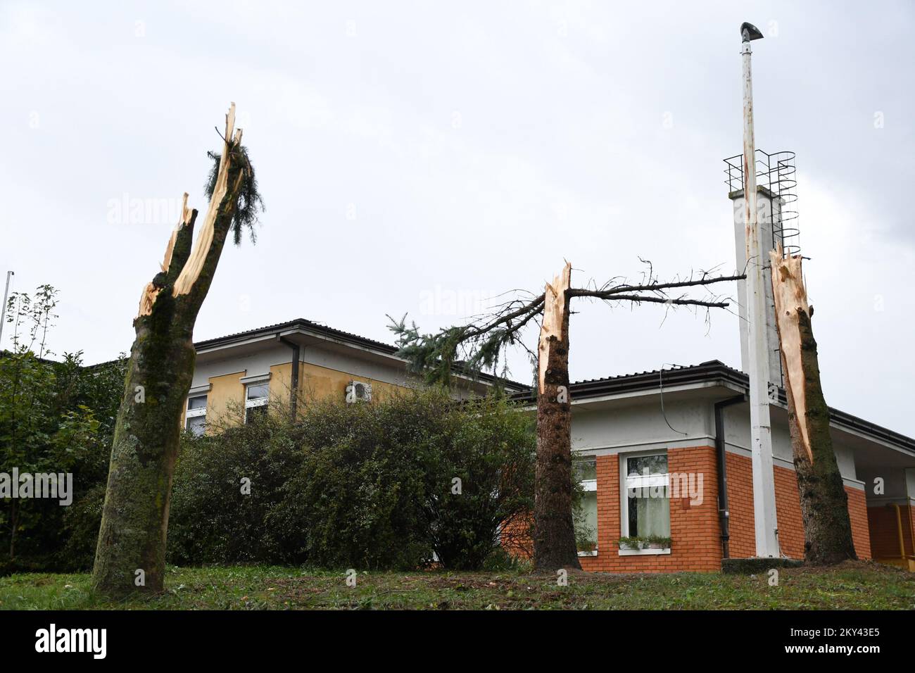 Photo taken on September 15, 2022 shows a fallen tree in heavy storm ...