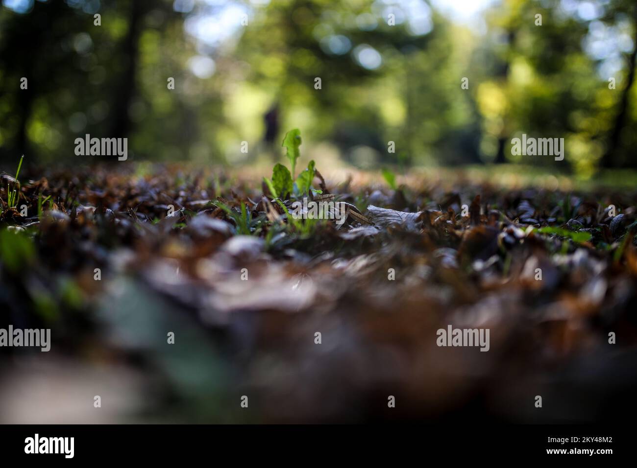 Picture taken on Semptember 23, 2022 in Zagreb, autumn scenography in ...