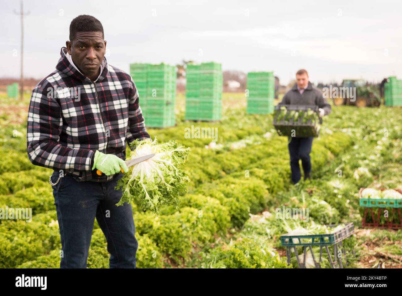 African farm worker hi-res stock photography and images - Alamy