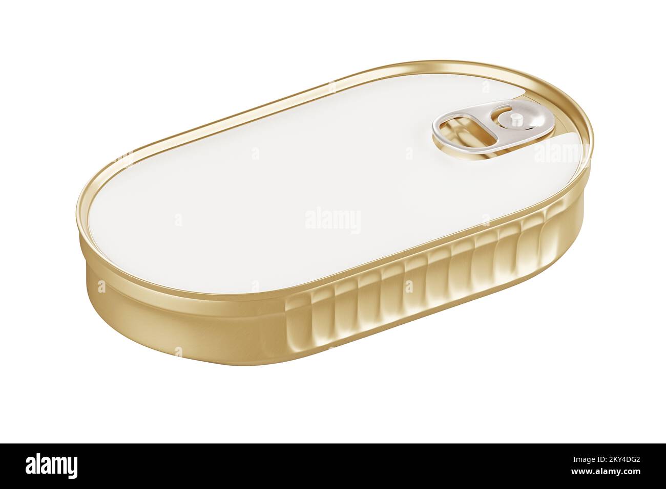 Tin can for new design with text, 3d rendering, template, view of fish ...