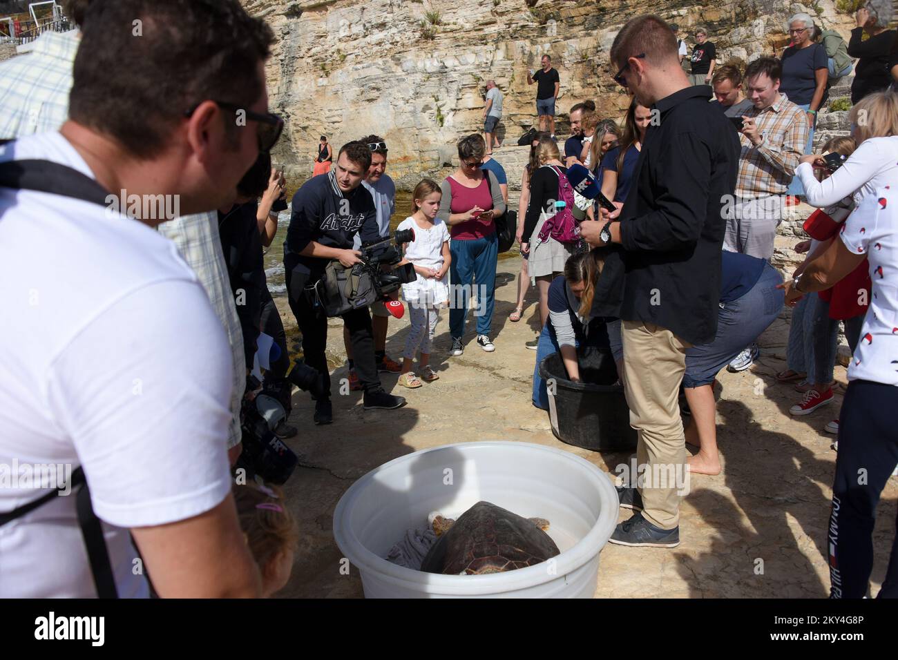Two loggerhead turtles, Ivan and Dancea, were returned to the sea after ...