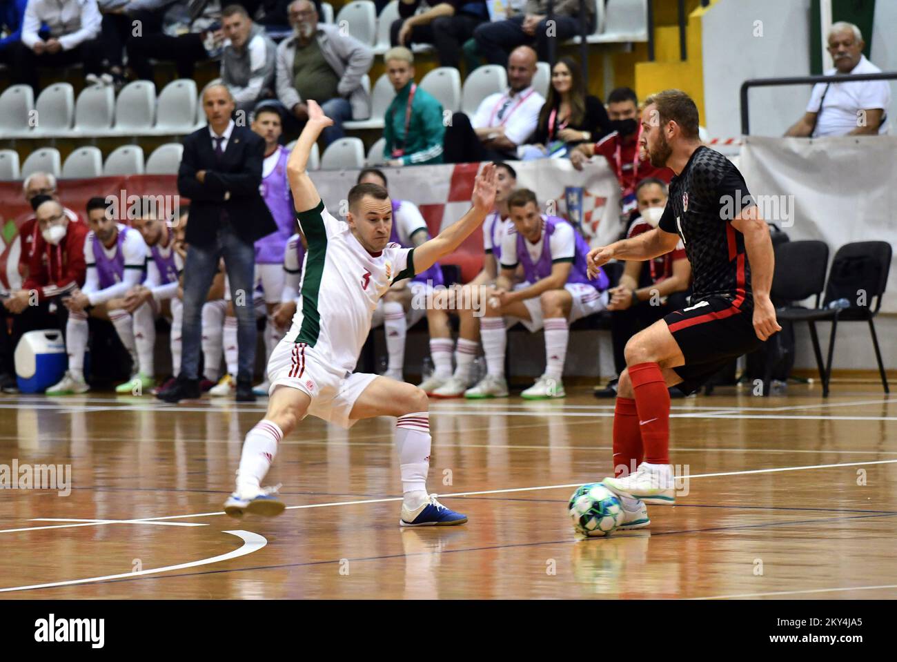 Atilla biro hi-res stock photography and images - Alamy