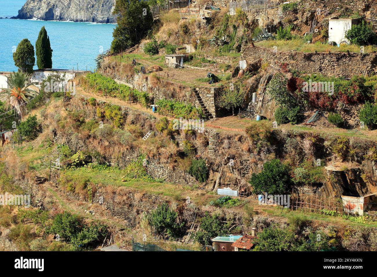 Terrace farming hi-res stock photography and images - Alamy