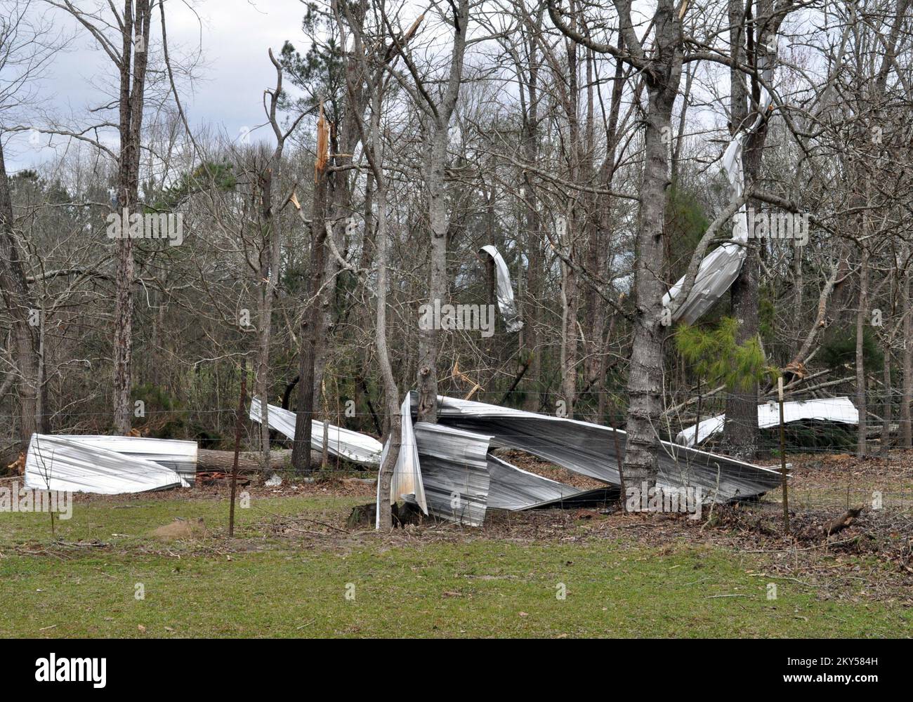 Unwelcome Pasture Occupants in Wayne County. Mississippi Severe Storms ...