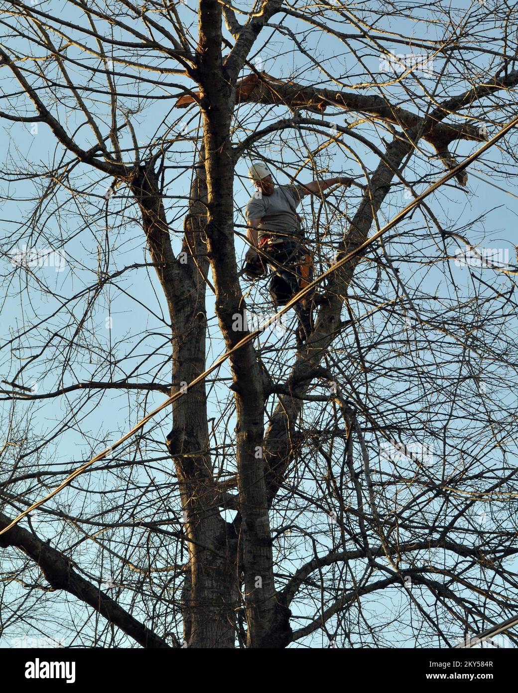 A Samaritan's Purse Tree Surgeon at Work. Mississippi Severe Storms ...