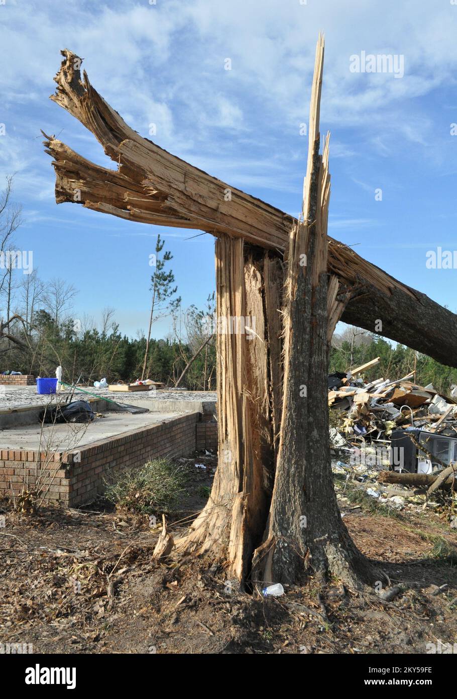 Tree Damage Typical of an EF4 Tornado. Mississippi Severe Storms ...