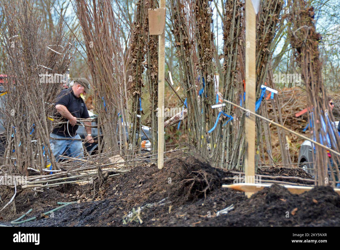 Hundreds of Saplings to Replace Storm Damaged Trees. New Jersey ...