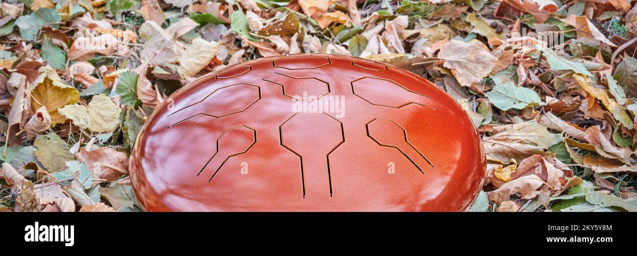 red steel tongue drum on a ground covered by dry leaves, percussion ...
