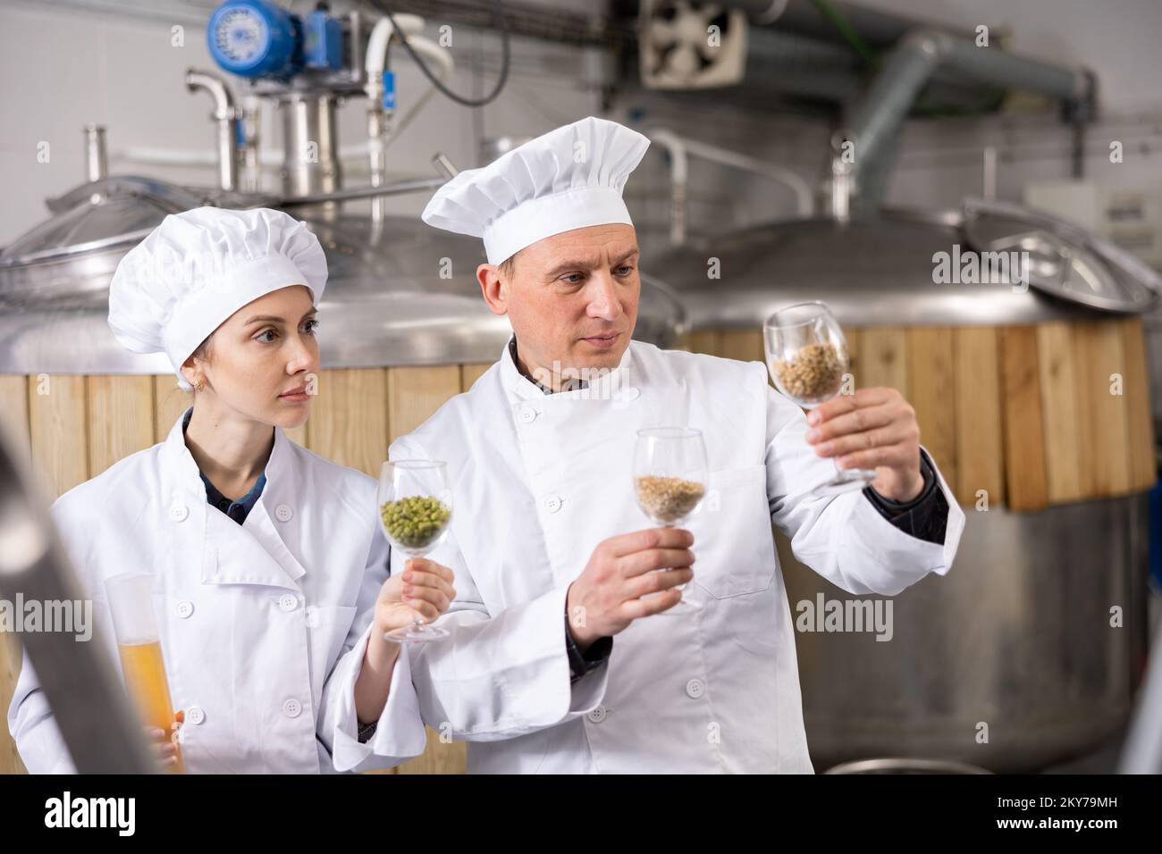 Woman and man checking the quality of fresh hops in glasses at brewery ...