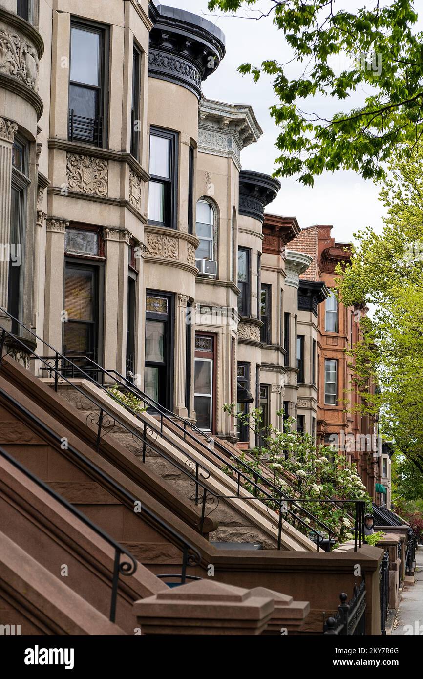 Prospect Park Brooklyn Neighborhood