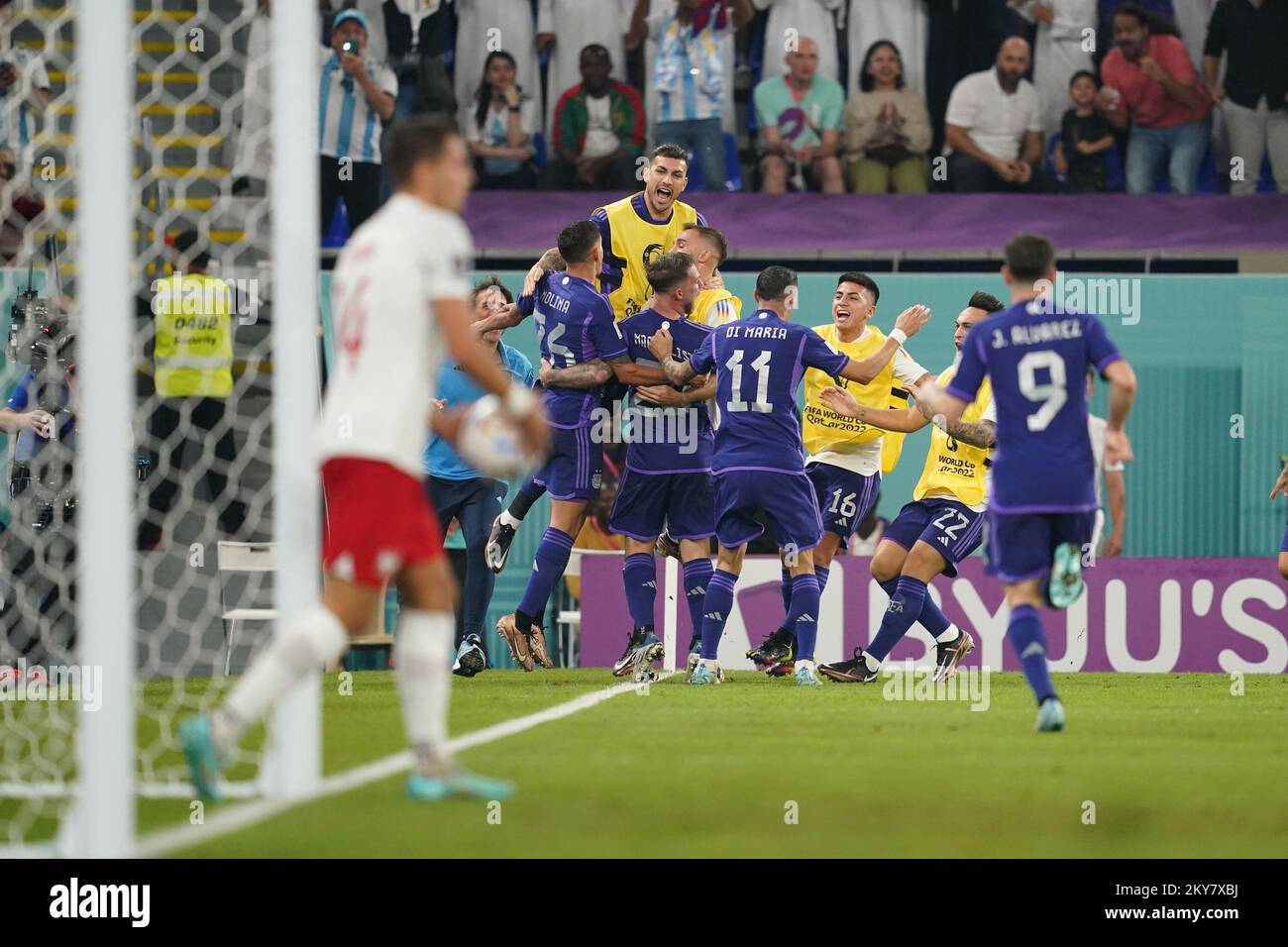 DOHA, QATAR - NOVEMBER 30: Player of Argentina Alexis Mac Allister ...