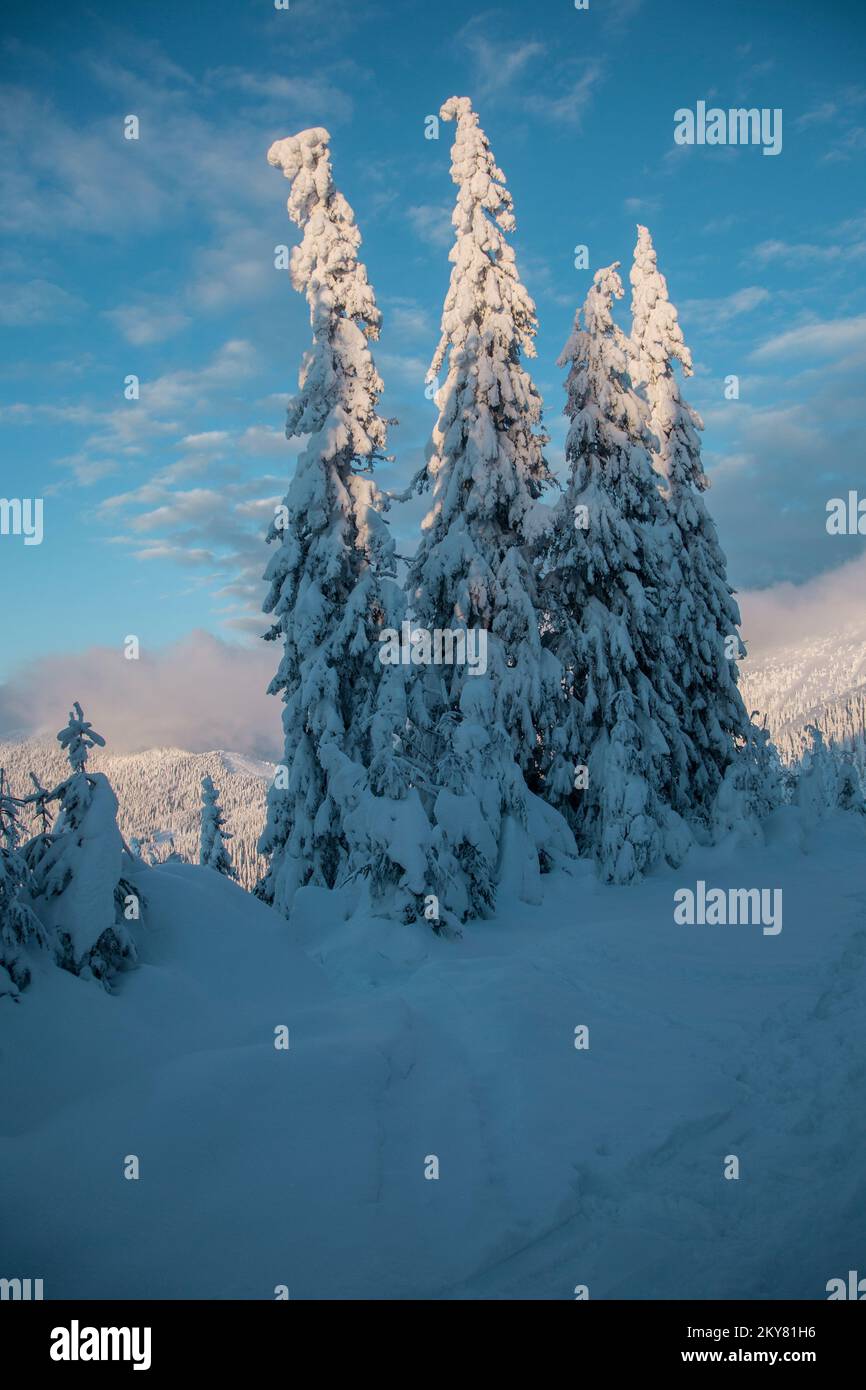 Winter mountain landscape at sunrise. Frosty trees under warm sunlight ...