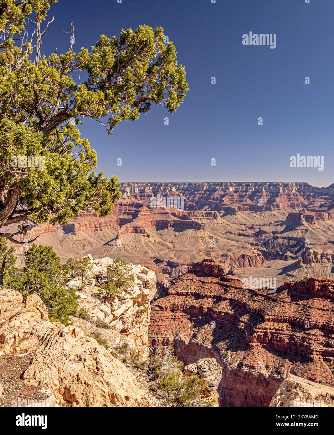 Grand Canyon Arizona South Rim near Mather Point Stock Photo - Alamy
