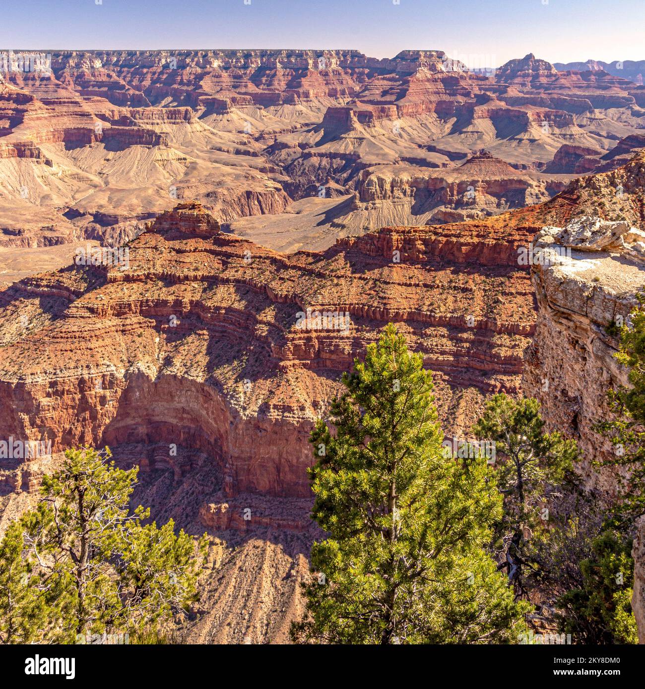 Grand Canyon Arizona South Rim near Mather Point Stock Photo - Alamy