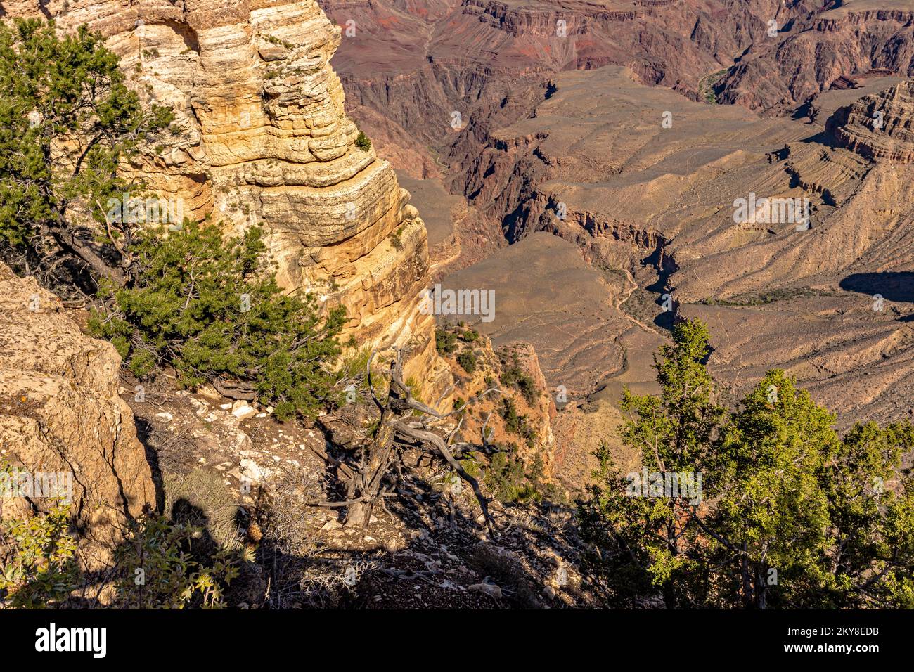 Grand Canyon Arizona South Rim near Mather Point Stock Photo - Alamy