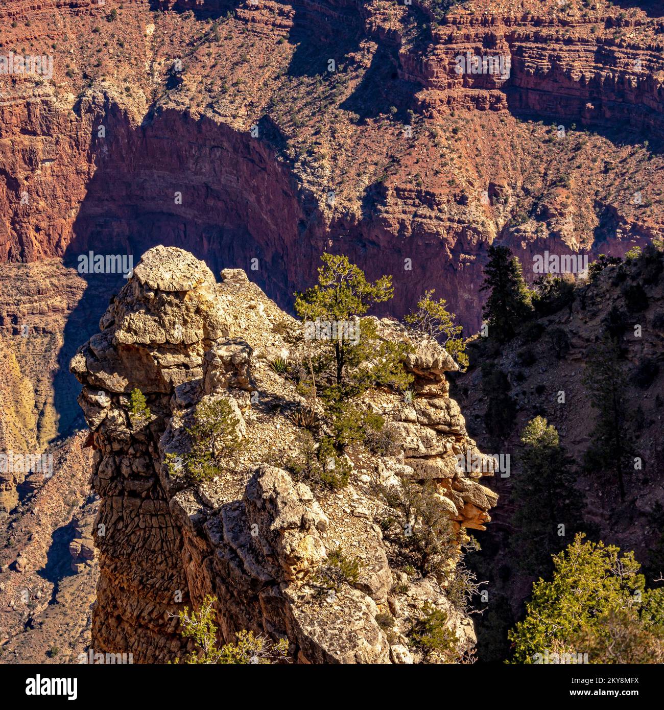 Grand Canyon Arizona South Rim near Mather Point Stock Photo - Alamy