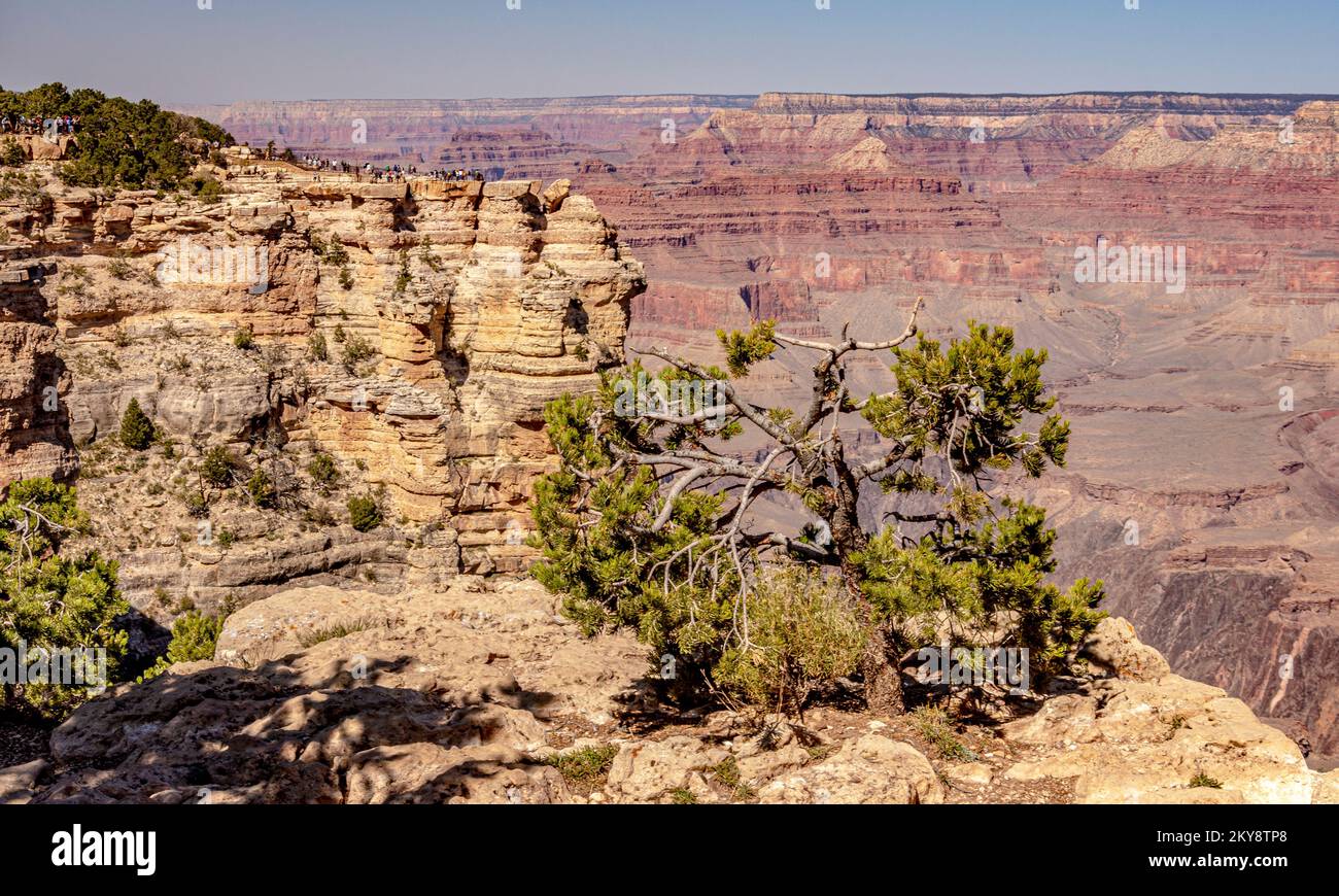 Grand Canyon Arizona South Rim near Mather Point Stock Photo - Alamy