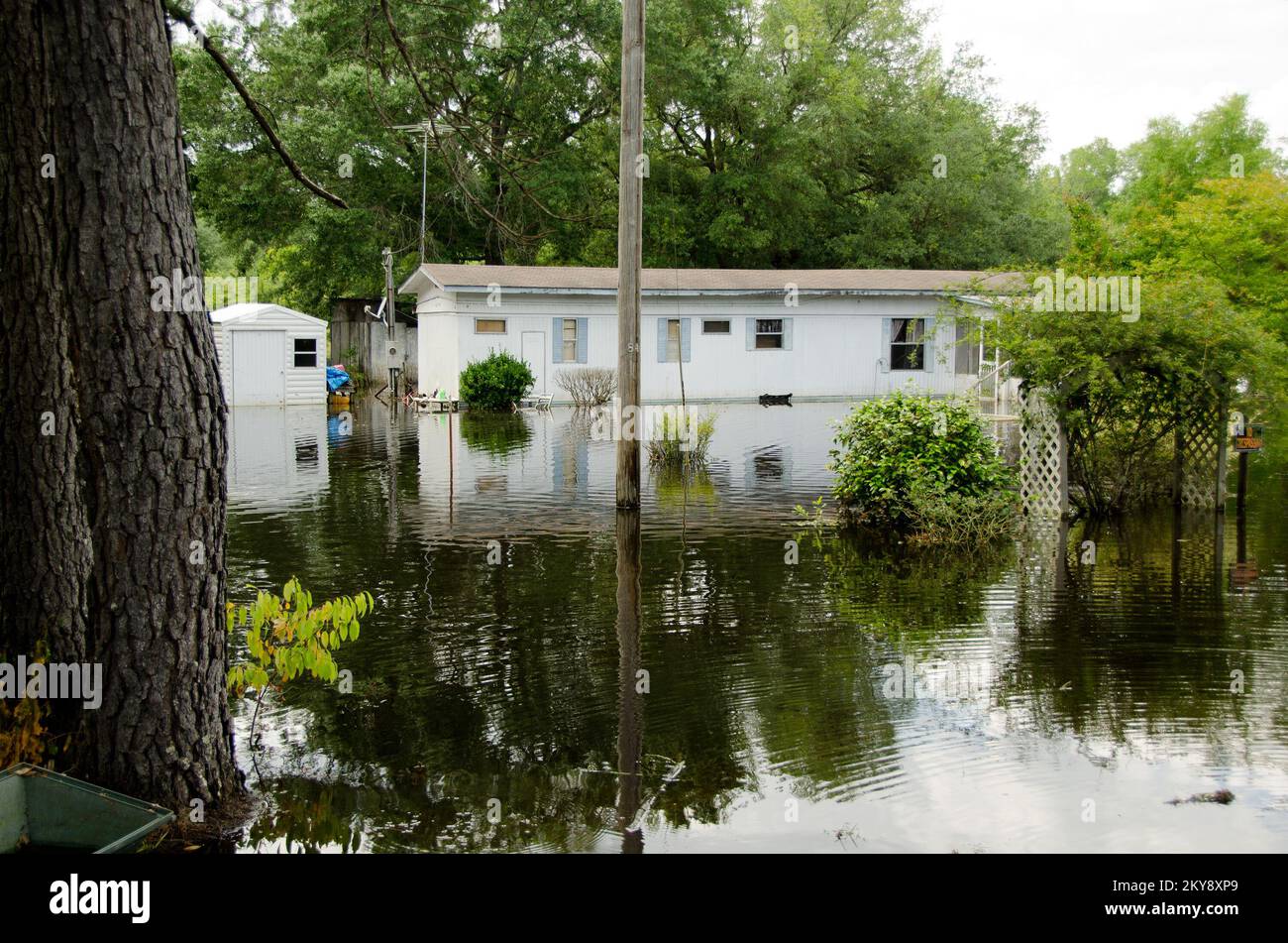 Grand ridge, florida hi-res stock photography and images - Alamy