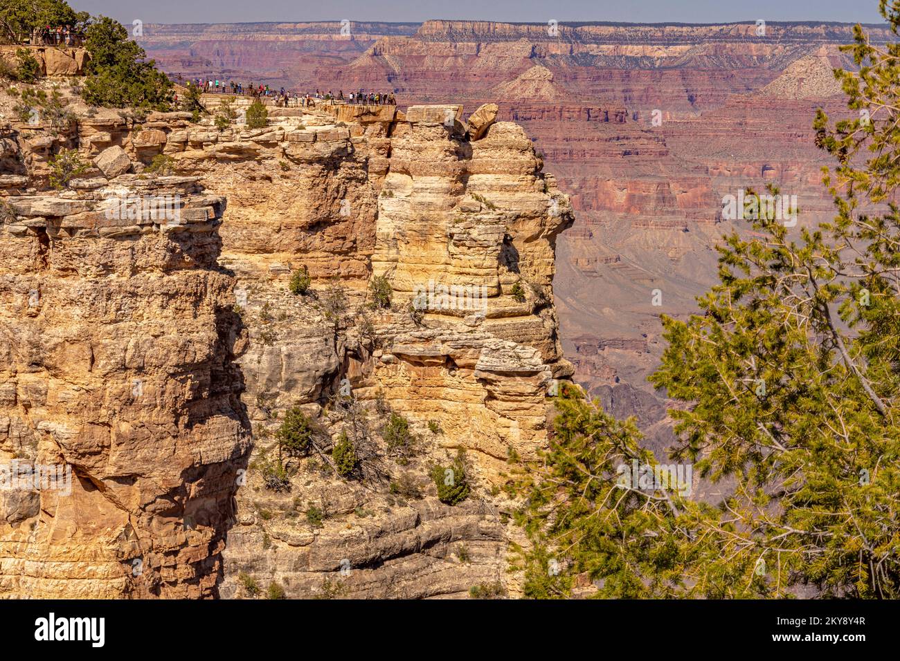 Grand Canyon Arizona South Rim near Mather Point Stock Photo - Alamy